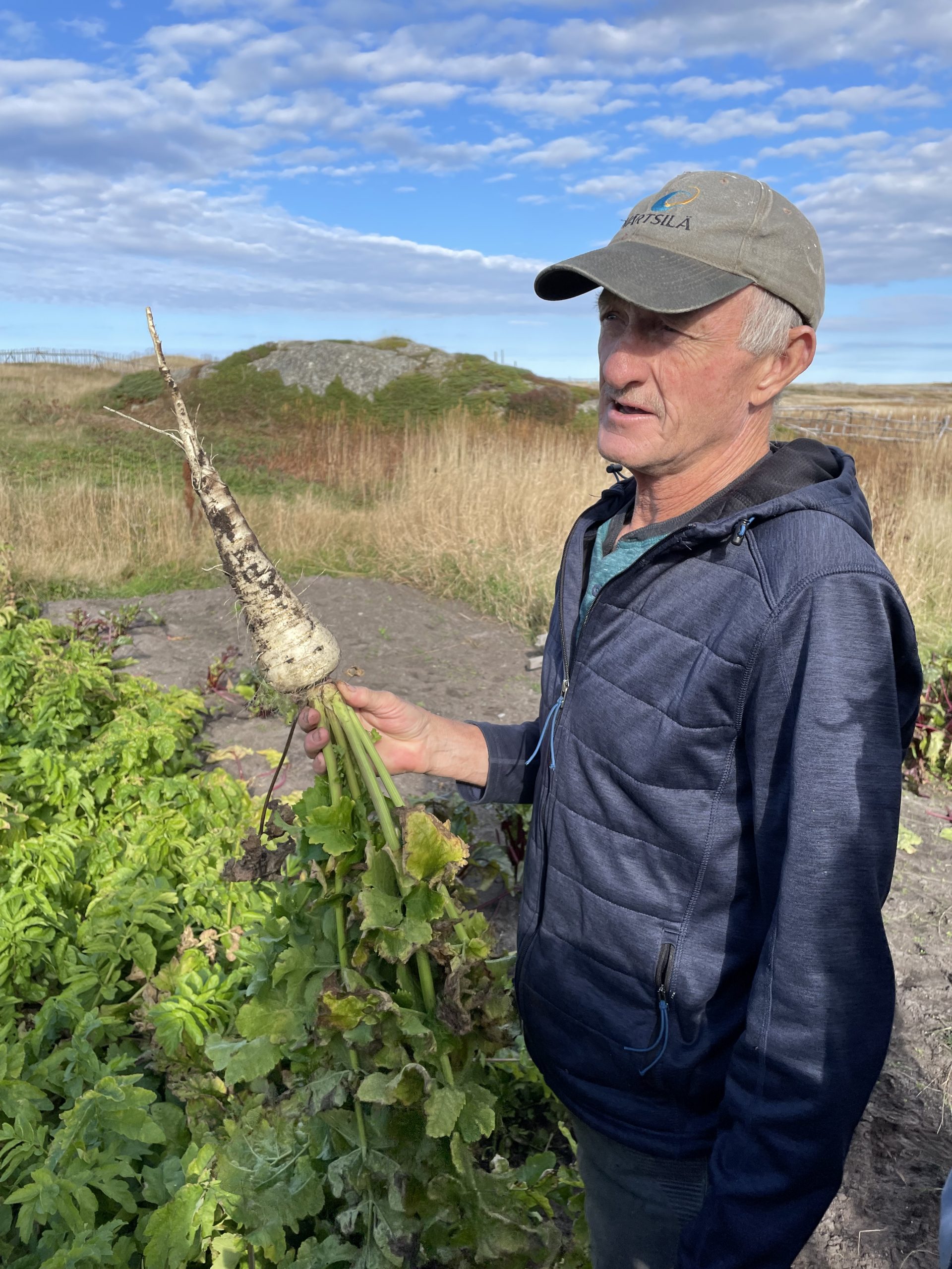 Fogo Island: A blueprint for renewal and sustainability - UÄ – UND ÄHNLICHES